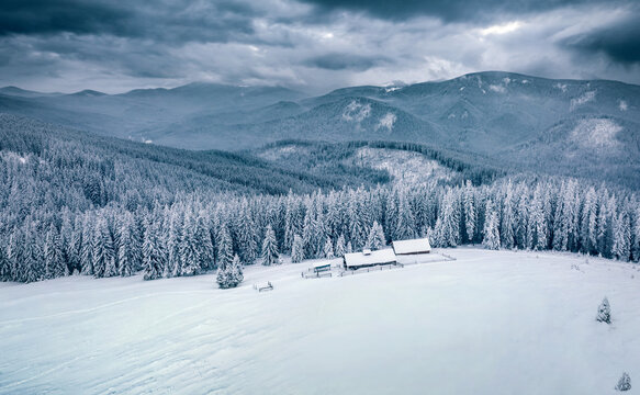 «Andrew Mayovskyy» — фотографии, изображения, ресурсы | Adobe Stock