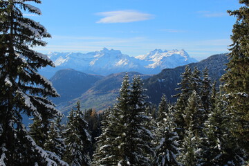 40+ Free forest screensaver pictures - Pikwizard