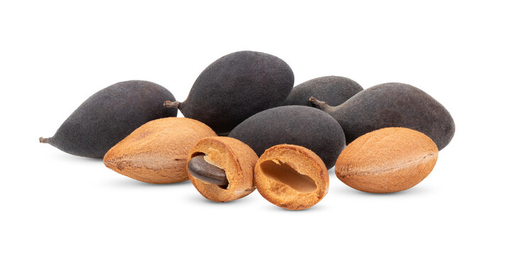 "Velvet Tamarind" Images – Browse 369 Stock Photos, Vectors, and Video ...