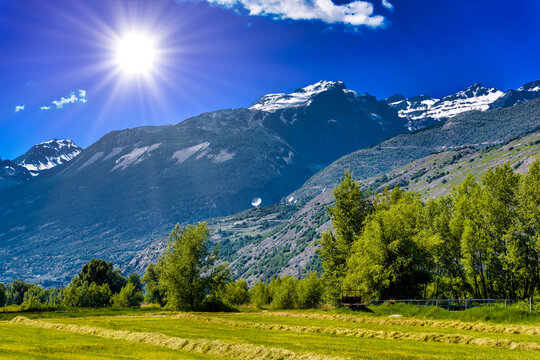 Visp Bilder – Durchsuchen 1,514 Archivfotos, Vektorgrafiken und Videos ...