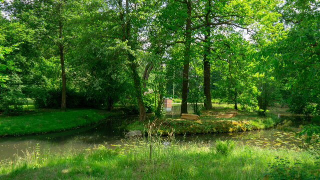 Tapety Billeder – Gennemse 613 stockfotos, vektorer og videoer | Adobe ...