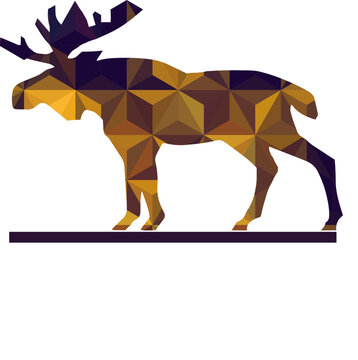 Geometric Moose