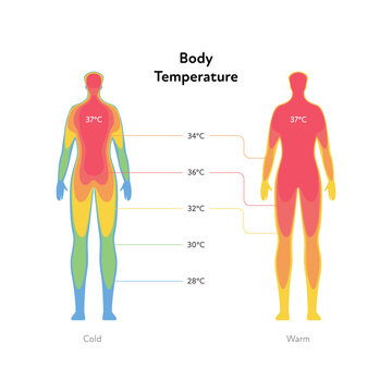 Body Map Images – Browse 14,818 Stock Photos, Vectors, and Video ...