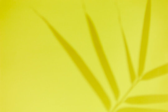 Yellow Wallpaper Images – Browse 2,987,115 Stock Photos, Vectors, and ...