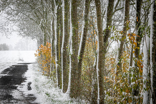 Ralph Lear Fotos, Bilder, Stockmedien | Adobe Stock