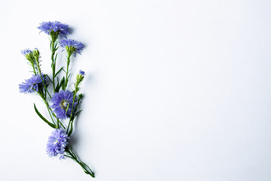 Beautifulness Images – Browse 625 Stock Photos, Vectors, and Video ...