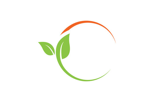 Leaves Logo Design