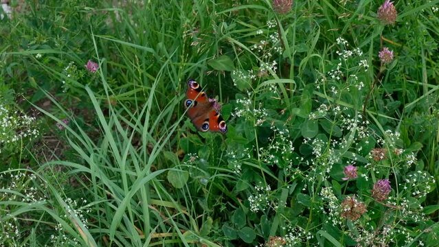 Resa Bilder – Durchsuchen 382 Archivfotos, Vektorgrafiken und Videos ...