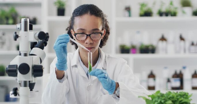 Botanist In Lab Images – Browse 3,250 Stock Photos, Vectors, and Video ...