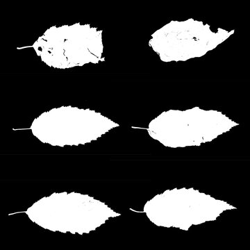 "Mask Texture" Images – Browse 31 Stock Photos, Vectors, and Video ...