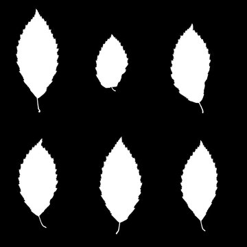 "Mask Texture" Images – Browse 31 Stock Photos, Vectors, and Video ...