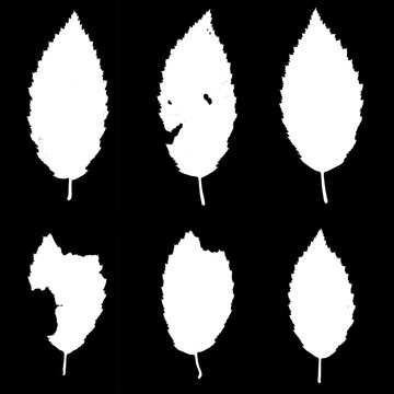 "Mask Texture" Images – Browse 31 Stock Photos, Vectors, and Video ...