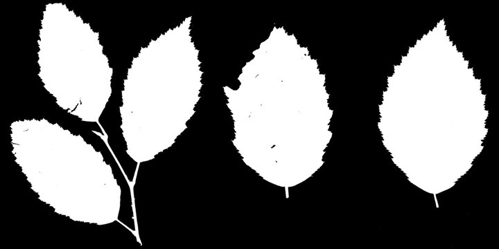 "Mask Texture" Images – Browse 30 Stock Photos, Vectors, and Video ...