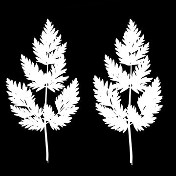 "Mask Texture" Images – Browse 30 Stock Photos, Vectors, and Video ...