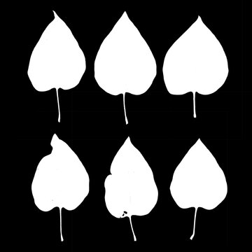 "Mask Texture" Images – Browse 30 Stock Photos, Vectors, and Video ...