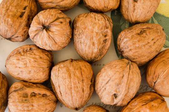 Fructify Bilder – Durchsuchen 586 Archivfotos, Vektorgrafiken und Videos | Adobe Stock