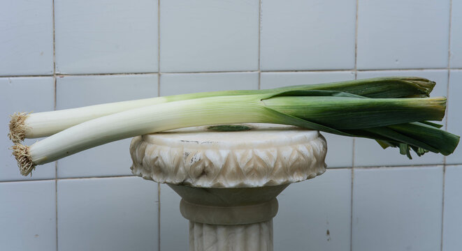 Kurrat Bilder – Durchsuchen 2,828 Archivfotos, Vektorgrafiken und ...