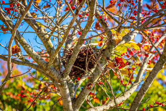 Snuggly Images – Browse 547 Stock Photos, Vectors, and Video | Adobe Stock