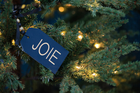 Obrázky Joie – procházejte fotografie, vektory a videa 58,297 | Adobe Stock