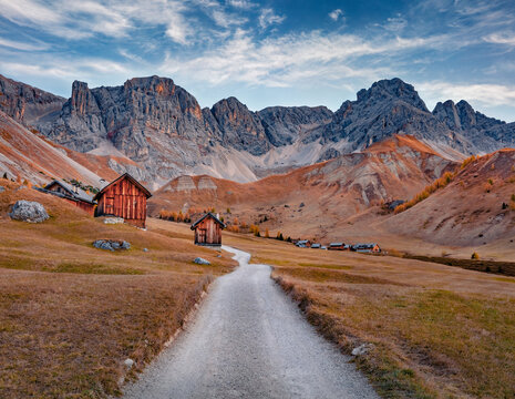 «Andrew Mayovskyy» — фотографии, изображения, ресурсы | Adobe Stock