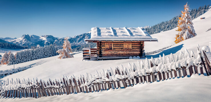 «Andrew Mayovskyy» — фотографии, изображения, ресурсы | Adobe Stock