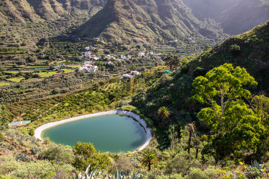Gran Bilder – Durchsuchen 198,174 Archivfotos, Vektorgrafiken und ...