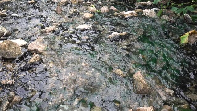 Obrazy ("Shallow Stream") — zdjęcia, wektory i wideo bez tantiem (124 ...