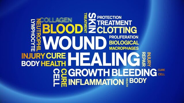 Wound Healing Animation