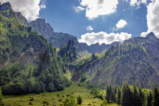 Mouning 이미지 – 찾아보기 29,103 스톡 사진, 벡터 및 비디오 | Adobe Stock