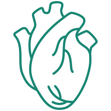 Anatomical Heart Outline Images – Browse 2,870 Stock Photos, Vectors ...