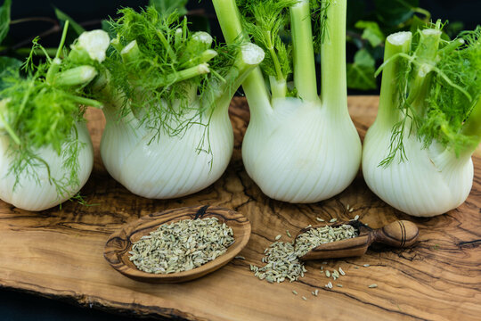 Knollen 이미지 – 찾아보기 3,607 스톡 사진, 벡터 및 비디오 | Adobe Stock