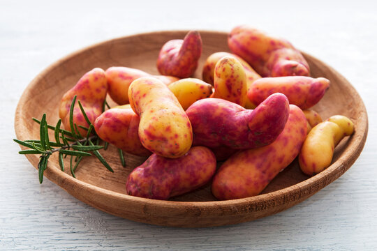 Olluco Bilder – Durchsuchen 318 Archivfotos, Vektorgrafiken und Videos ...