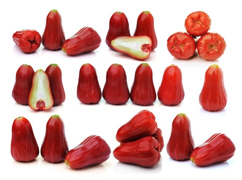 รูปภาพTambis – เลือกดูภาพถ่ายสต็อก เวกเตอร์ และวิดีโอ5,411 | Adobe Stock