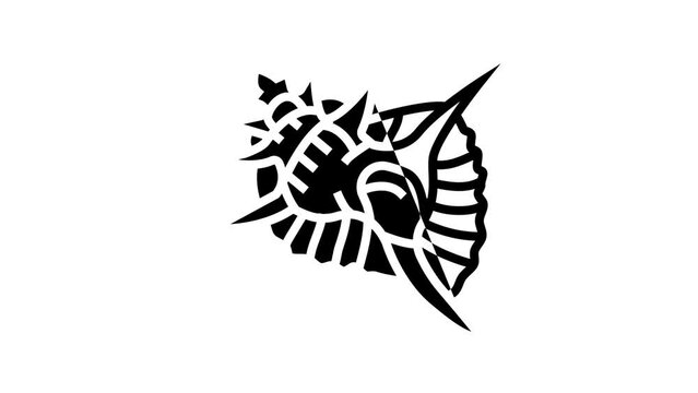 Murex Bilder – Durchsuchen 1,285 Archivfotos, Vektorgrafiken und Videos ...