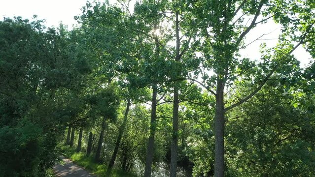 Arboreal Images – Browse 27,745 Stock Photos, Vectors, and Video ...