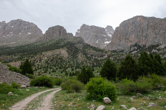 「Emli」の写真素材 | 100件の無料イラスト画像 | Adobe Stock