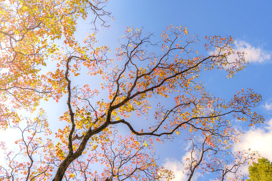 Dinusha photos, images, assets | Adobe Stock