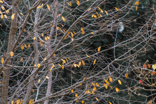 Dinusha photos, images, assets | Adobe Stock