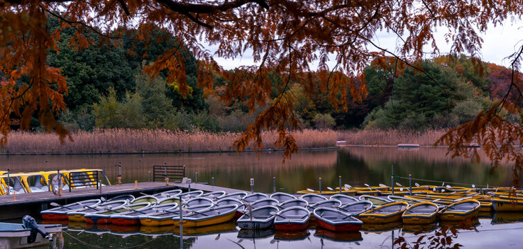 Dinusha photos, images, assets | Adobe Stock