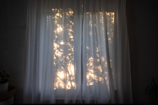 Tuling bilder – Bläddra bland 47,245 stockfoton, vektorer och videor ...