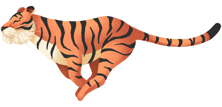 Running Tiger Animated Gif
