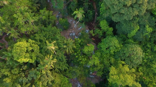 Jungle Fly Over Video Images – Browse 14,525 Stock Photos, Vectors, and ...