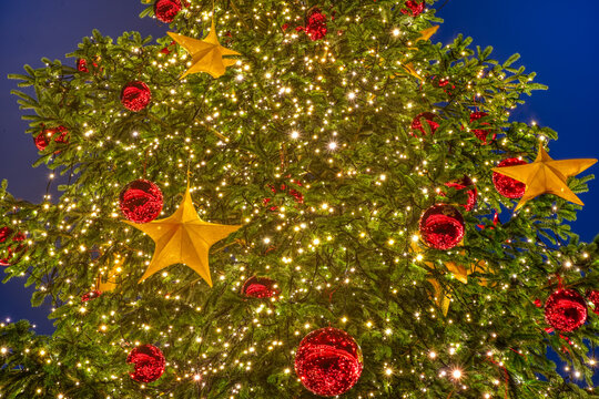 Dork Images – Parcourir 64,618 le catalogue de photos, vecteurs et ...