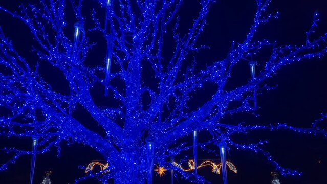 Fttb Images – Browse 488 Stock Photos, Vectors, and Video | Adobe Stock