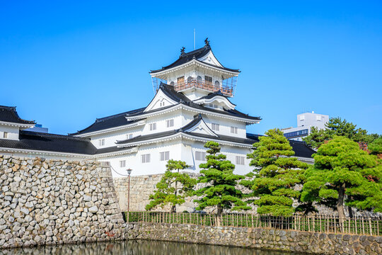 Ku bilder – Bläddra bland 33,563 stockfoton, vektorer och videor ...