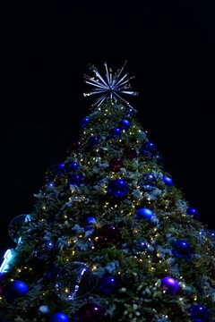rika_portrait 写真、画像、アセット | Adobe Stock