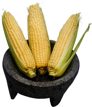 Imágenes de Elotes: descubre bancos de fotos, ilustraciones, vectores y ...