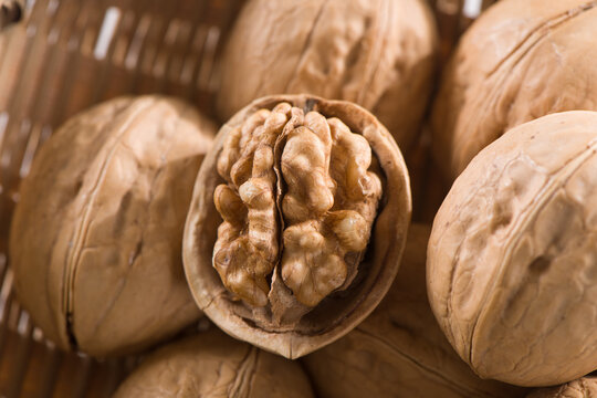 Open Nutshell Bilder – Durchsuchen 41,414 Archivfotos, Vektorgrafiken ...