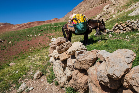 รูปภาพArriero – เลือกดูภาพถ่ายสต็อก เวกเตอร์ และวิดีโอ484 | Adobe Stock