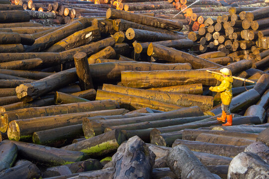 Mill-Hand bilder – Bläddra bland 31,560 stockfoton, vektorer och videor ...